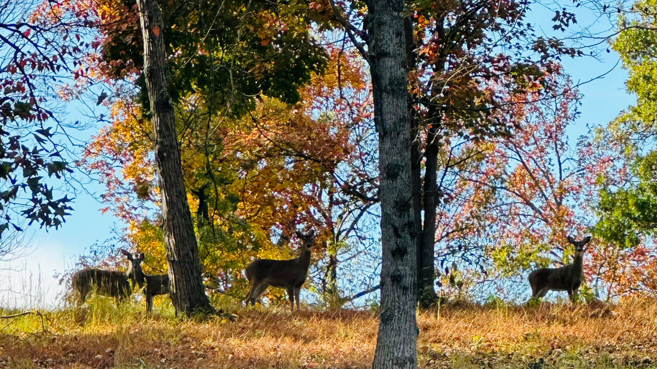 Karen 'Girl' Friday3 Spiritual Truths God Showed Me in the Mountains ...